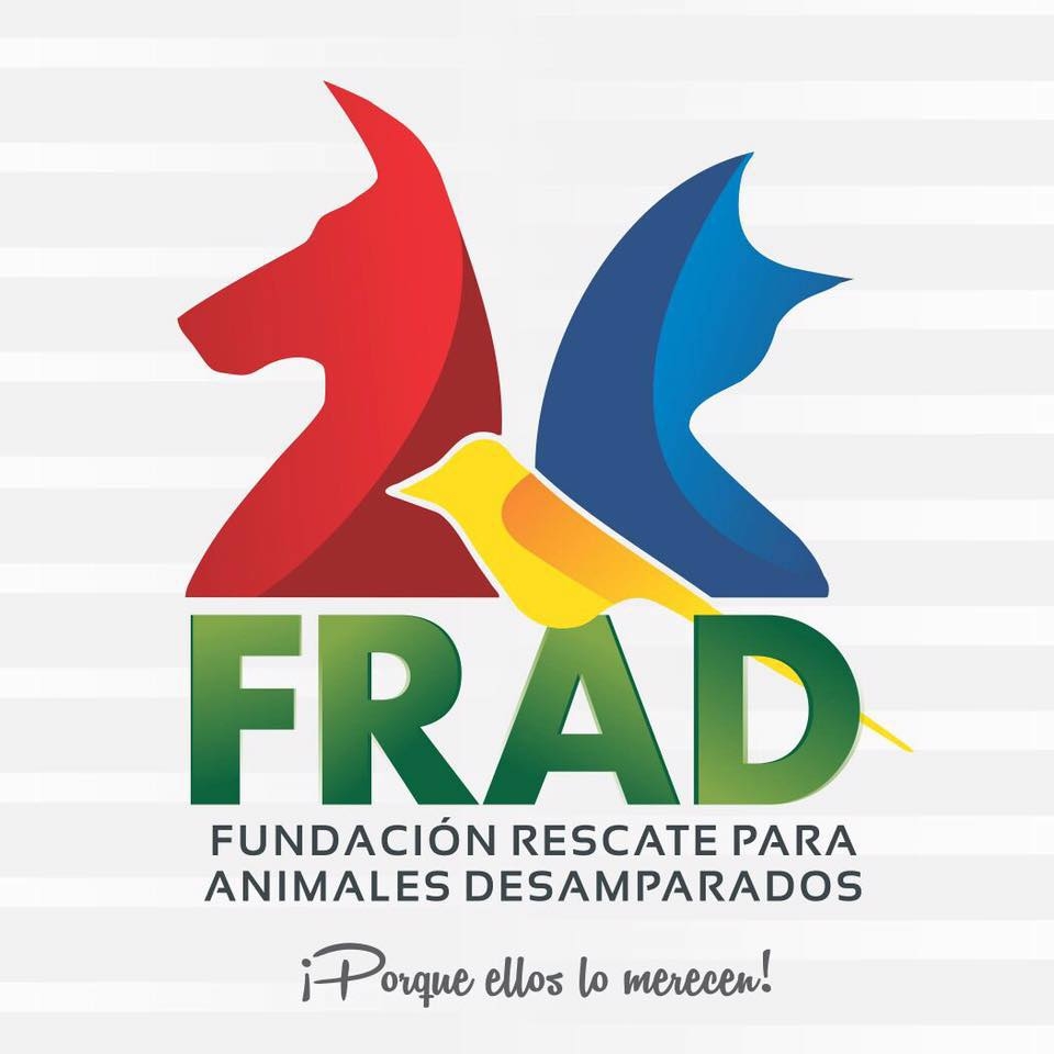 FUNDACIÓN FRAD CON POCO APOYO EN CARTAGENA - Eje 360