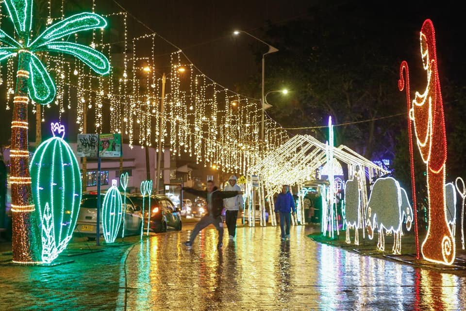 En imágenes así se ve Manizales con su encendido del alumbrado navideño ...
